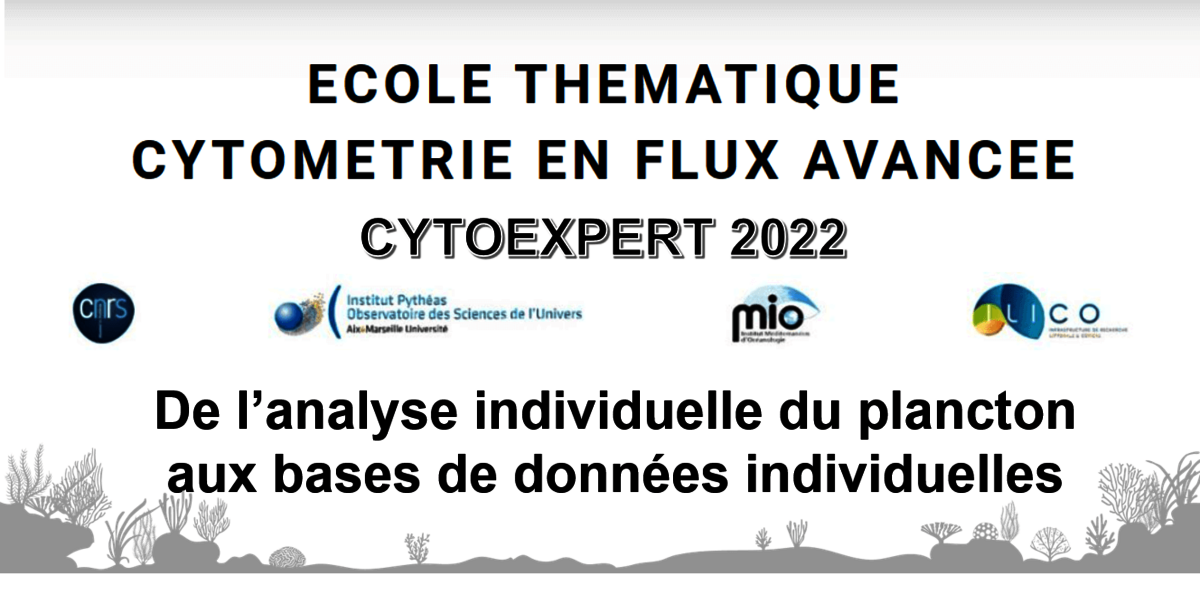 Cytométrie en flux : bilan de l'Ecole thématique CYTOEXPERT 2022