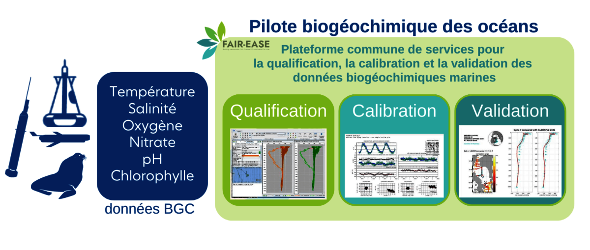 Pilote d'observation biogéochimique des océans