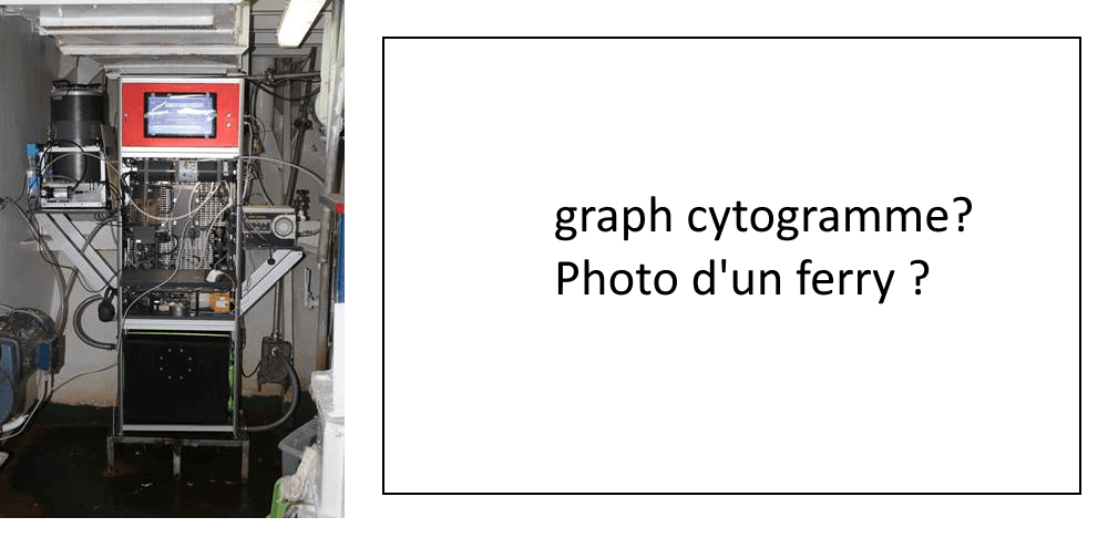 CES Cytométrie en flux